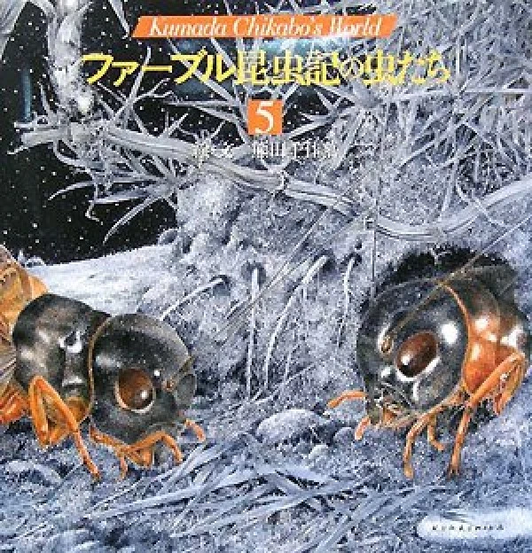 KUMADA CHIKABO PICTURE book Insects in Souvenirs entomologiques Vol.5 ...