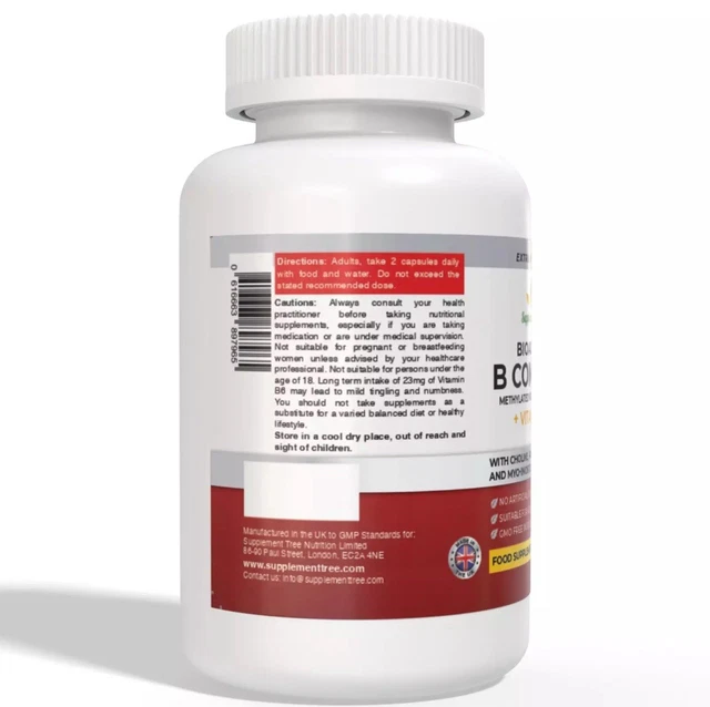 METHYLATED VITAMIN B Complex With Vit C | Folate P5P PABA R5P & MORE 90 ...