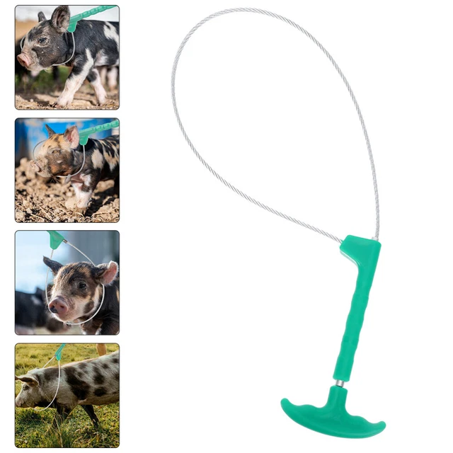 PIG SETTER STRONG Functionality Holder Animal Restraint Tool £7.98 ...