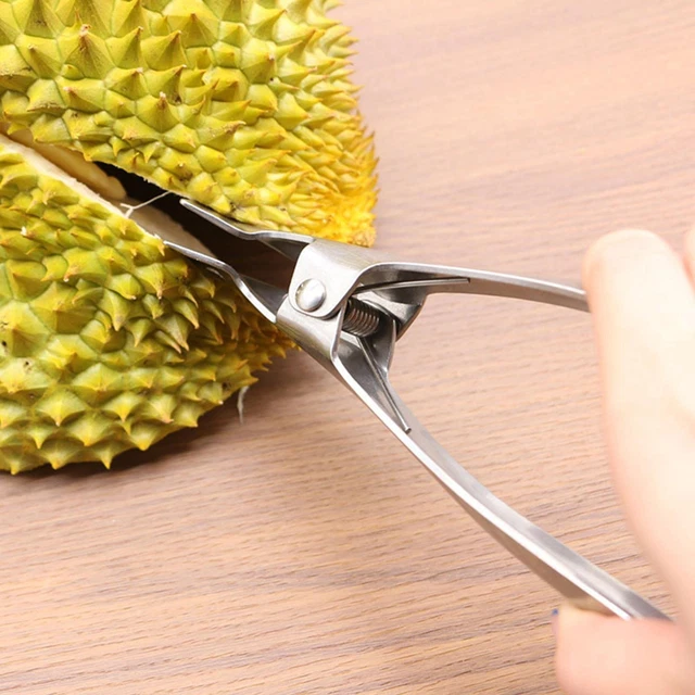 DURIAN OPENER DURIAN Peel Breaking Tool for Kitchen Restaurant Grocery ...