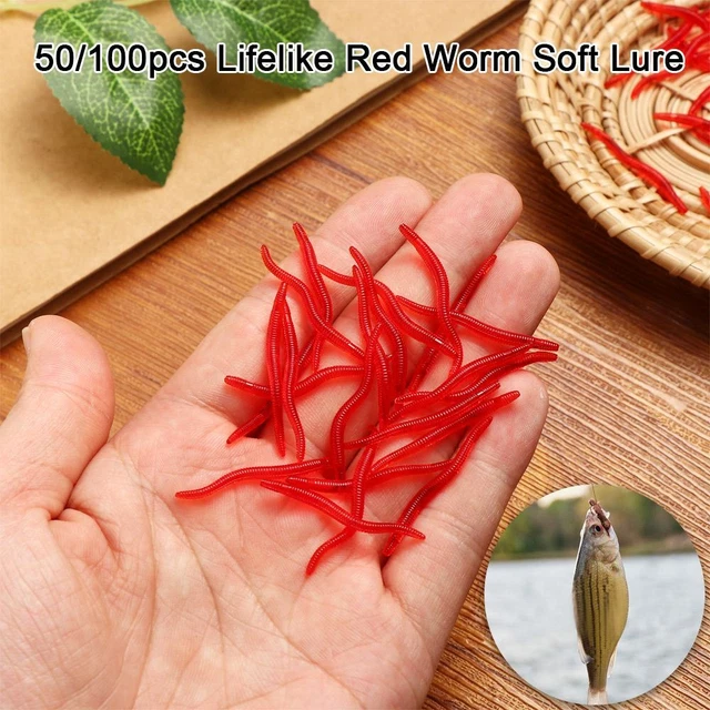 ODORE ADDITIVO GAMBERETTI lombrico stile di vita verme rosso esca pesca ...