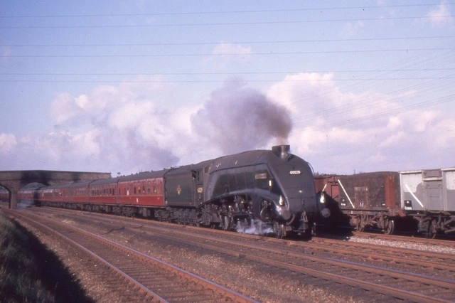 35MM RAILWAY SLIDE: COLOUR-RAIL: BRE 278: CLASS A4: 60029 WOODCOCK £2. ...