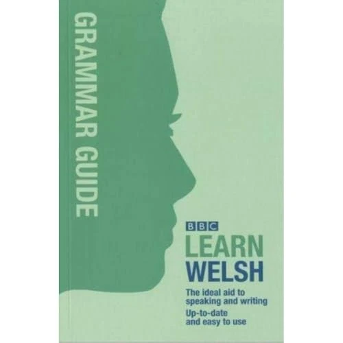 BBC LEARN WELSH - Grammar Guide for Learners by Ann Jones NEW BOOK £11. ...