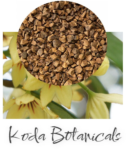 KOLA NUT GRANULES Ceremony Stimulant Chew PREMIUM GRADE Cola nitida Nut ...