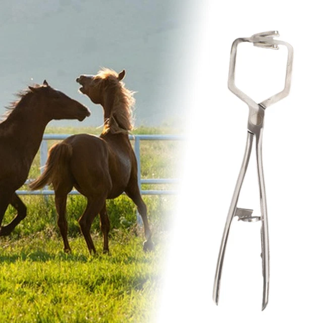 LIVESTOCK CASTRATION BANDER Castration Tool for Veterinary Goats ...