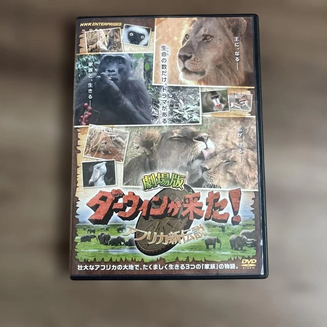 DARWIN IS HERE! New African Legend '19 NHK Enterprises w3 £25.31 ...