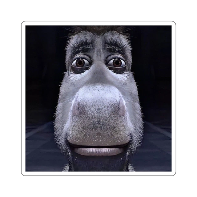 DONKEY MEME STICKERS, Shrek Donkey Sticker, Funny Meme Decal, Laptop ...