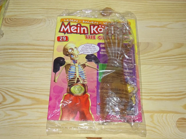 MEIN KÖRPER WIE geht das lesen bauen verstehen nr.29 EUR 4,79 - PicClick DE