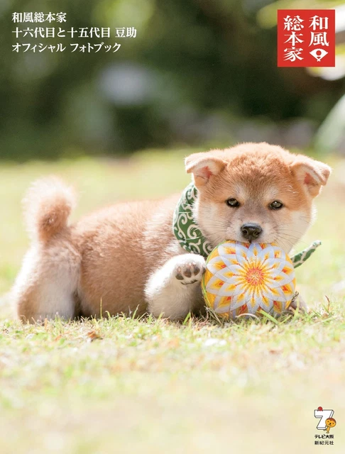 JAPANESE STYLE HEADMASTER 16th and 15th generation Mamesuke officia ...