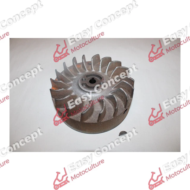 VOLANT MAGNETIQUE MOTEUR Bernard 318C - Moteur Bernard 318C (1) EUR 80 ...