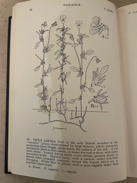 FURTHER ILLUSTRATIONS OF British Plants by Roger Butcher 1930 1st ed ...