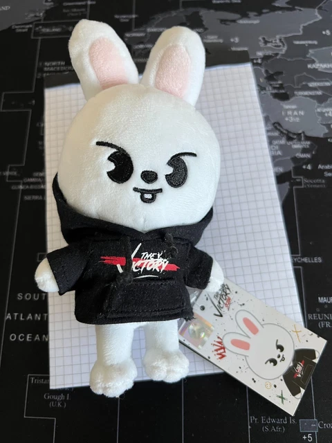 SKZOO LEEBIT STRAY Kids Lee Know Offizielle Mini Plüsch EUR 105,00 ...