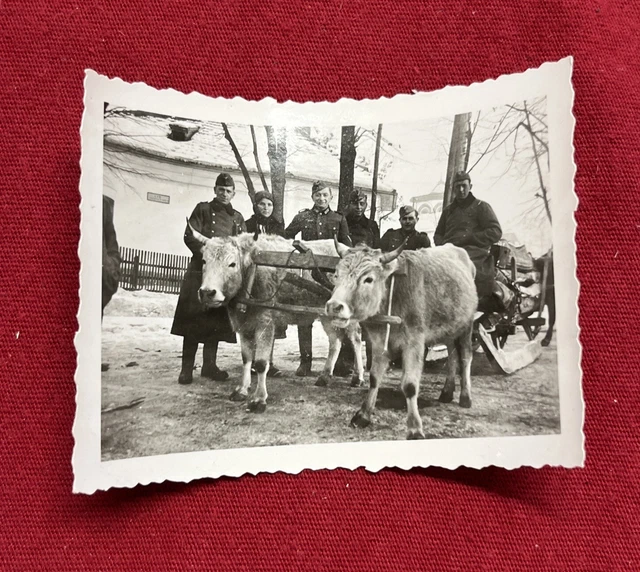 WW2 WWII ORIGINAL German Military wartime Photo Soldiers On Oxen Cart £ ...
