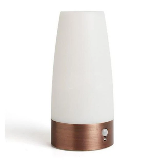 HUMAN SENSOR LIGHT Toddler Child Motion Table Lamp Battery Powered ...