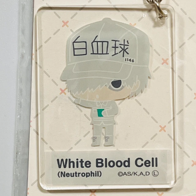 WHITE BLOOD CELL Cells at Work! Sanrio Design Square Acrylic Keychain ...