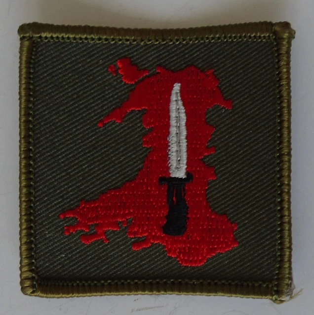BRITISH ARMY INFANTRY Battle School Brecon Formation Badge/TRF £2.99 ...