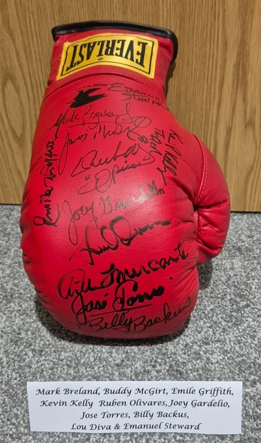 SIGNED BOXING GLOVE Kevin Kelly, Jose Torres, Emile Griffith, Emanuel ...