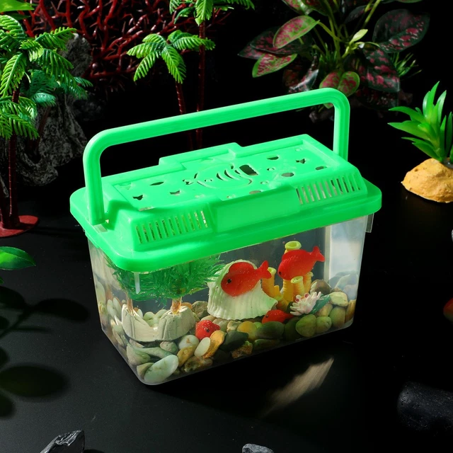 MINI PORTABLE FISH Tank Handheld Aquarium For Turtle And Pet Fish Small ...