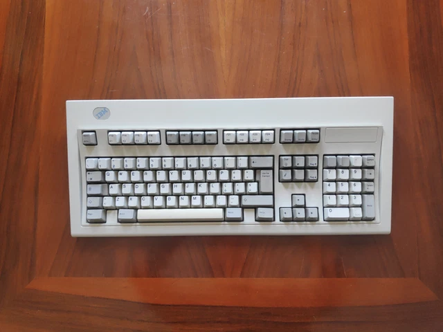 IBM MODEL M - Bolt Mod - Soarer Converter USB C - Blue label EUR 135,00 ...