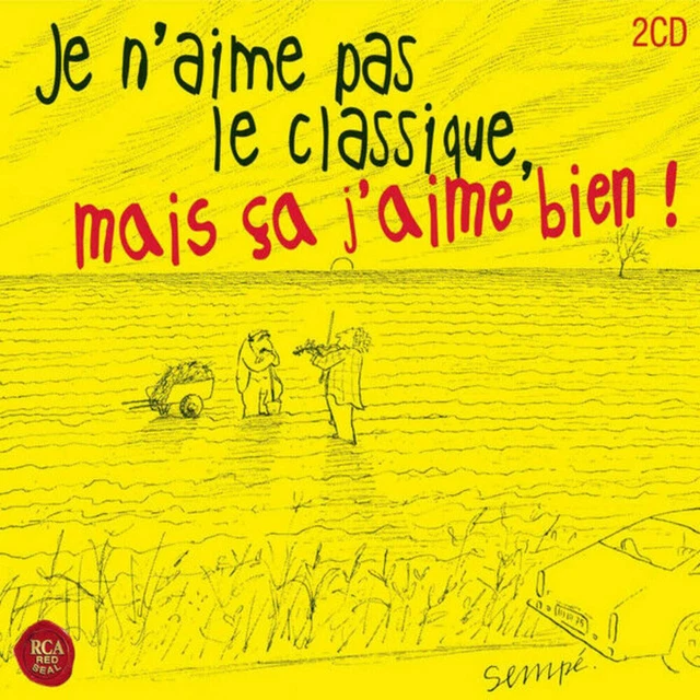 JE N'AIME PAS Le Classique Mais Ça J'Aime Bien | Various | Etat correct ...