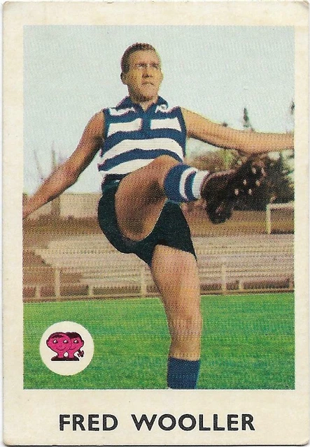 1965 SCANLENS (23) Fred WOOLLER Geelong # $95.00 - PicClick AU