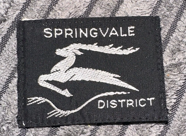VERY RARE VINTAGE Scouts Badge/patch/emblem Springvale District ...