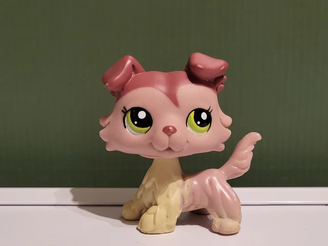 LPS #1723 LITTLEST Petshop Original Authentique Chien Colley Dog Collie ...