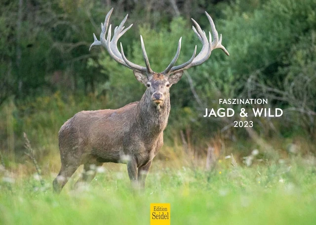FASZINATION JAGD & Wild Premium Kalender 2023 DIN A3 Wandkalender Natur ... FASZINATION JAGD & Wild Premium Kalender 2023 DIN A3 Wandkalender Natur ...