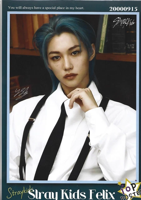 STRAYKIDS FELIX PHOTO Poster (10P Pack) (A4 Size) K-POP 202406 $42.90 ...