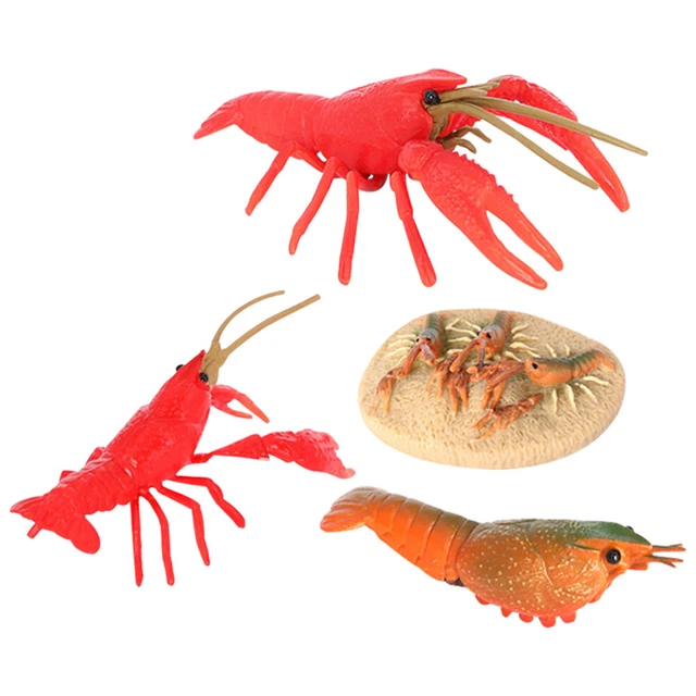 MODEL SHRIMP CHILD Simulated Crayfish Models Simulation Animals Toy £12 ...