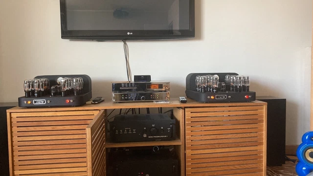 EAR YOSHINO DAC4 with dedicated Acute 4 transport. Tube DAC EUR 4.900 ...