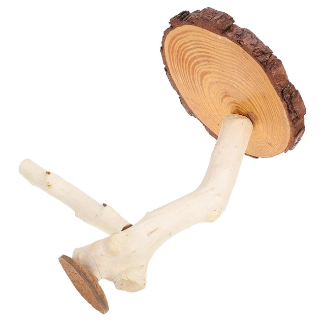 PARROT PERCH BIRD Playground Stand for Desk Table Top Perches Parakeets ...