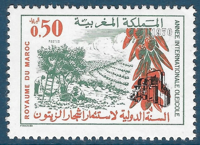TIMBRES MAROC -MOROCCO - N° 611** - Année Oléicole - Olives - MNH - TTB ...