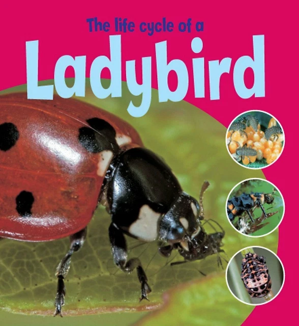 LEARNING ABOUT LIFE Cycles The Life Cycle Of A Ladybird Paperback Book learning-about-life-cycles-the-life-cycle-of-a-ladybird-paperback-book