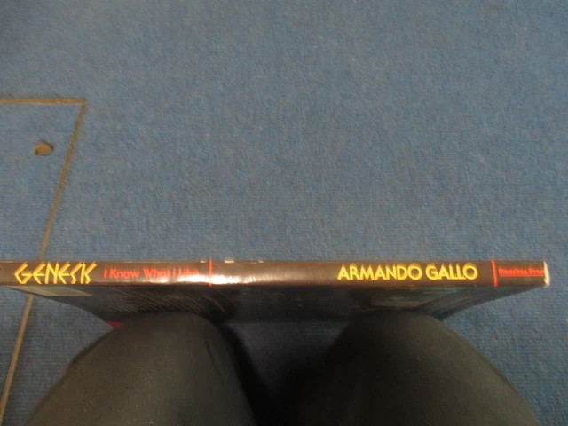 GENESIS I KNOW What I Like By Armando Gallo Ltd Reprint 1987 Book EUR ...