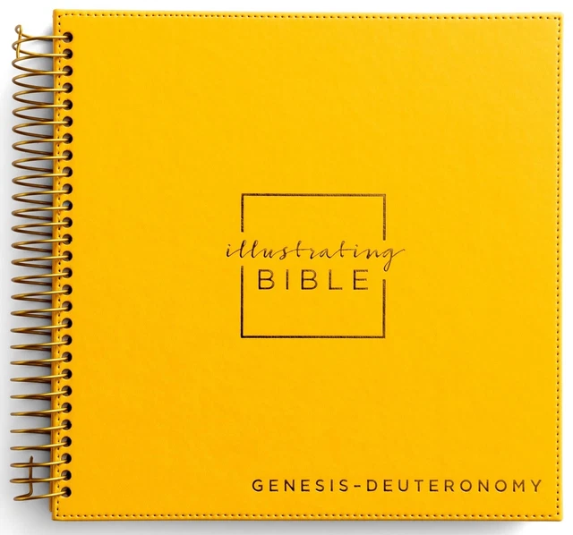 DAYSPRING NIV ILLUSTRATING Bible, Genesis - Deuteron (Encuadernación de ...