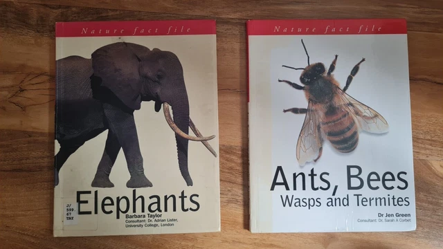 ANTS, BEES WASPS and Termites Nature Fact File Green, Dr Jen elephants ...