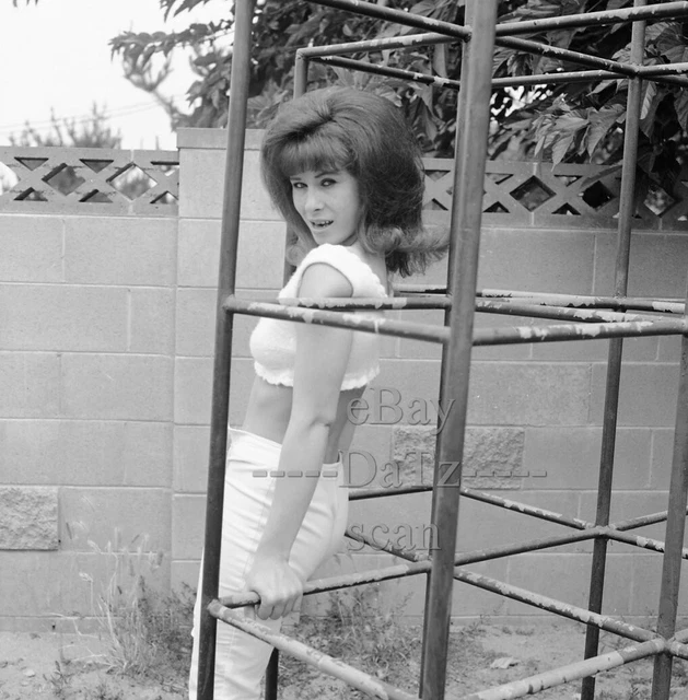 1960s Negative Sexy Brunette Pinup Girl Sherry Stevens Cheesecake T63285 £1431 Picclick Uk
