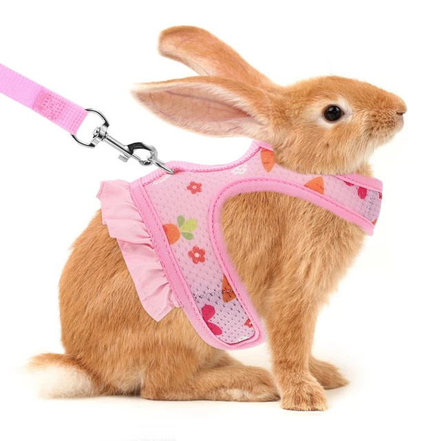 SMALL ANIMALS WALKING Rope Comfortable Bunny Harness Rabbit Leash $18. ...