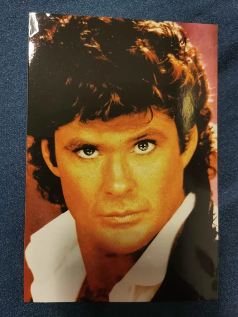 DAVID HASSELHOFF BAYWATCH Knight Rider Foto Photo 10x15 cm EUR 95,00 ...