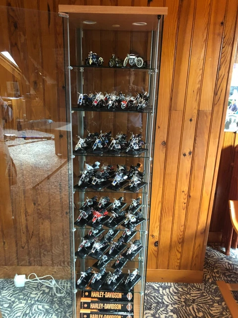 COLLECTION (( HACHETTE )) moto miniature harley davidson 1/18em EUR 200 ...