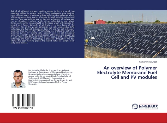 AN OVERVIEW OF Polymer Electrolyte Membrane Fuel Cell and PV modules ...