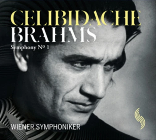 JOHANNES BRAHMS BRAHMS: Symphony No. 1 (CD) Album EUR 28,41 - PicClick FR