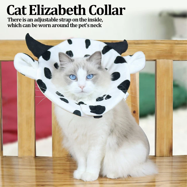 CAT ELIZABETH CONE Dessin Animé Modèle De Vache Ajustable Après La ...