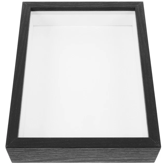 INSECT DISPLAY CASE Butterfly Specimen Display Frame Insect Pinning Kit ...