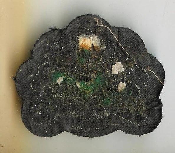 WWII ROYAL CANADIAN Air Force Warrant Officer 1 Rank Badge - Type 1 $7. ...