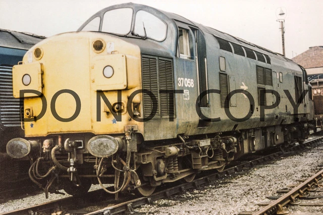 UK DIESEL TRAIN Railway Photograph Of Class 37 37058 Loco. Rm37-214 £1. ...