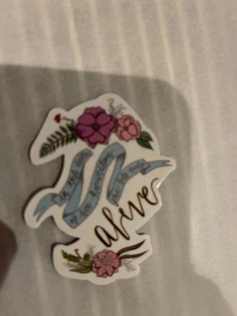 MUSIC STICKER SMALL stickers scrapbooking Swifties Taylor swift cartoon ...