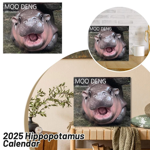 2025 MOO DENG Calendar, 2025 Moo Deng Pygmy Hippo Monthly Wall Calendar ...