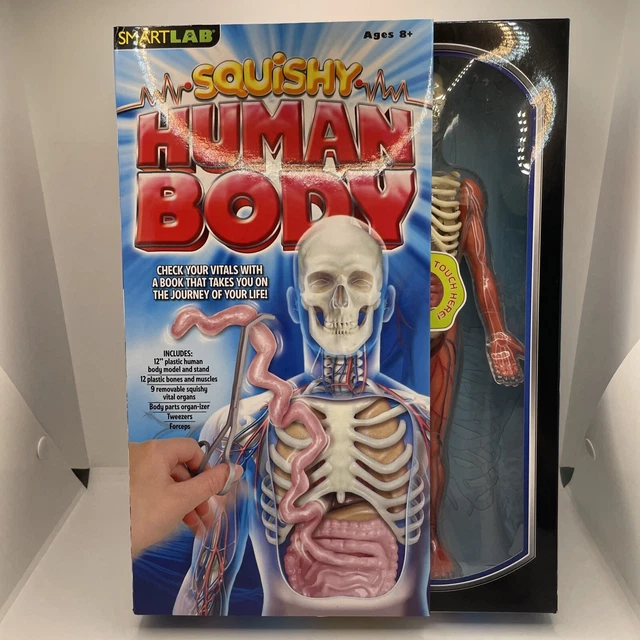 SMART LAB SQUISHY Human Body Realistic Model Anatomy Book 21 Body Parts ...